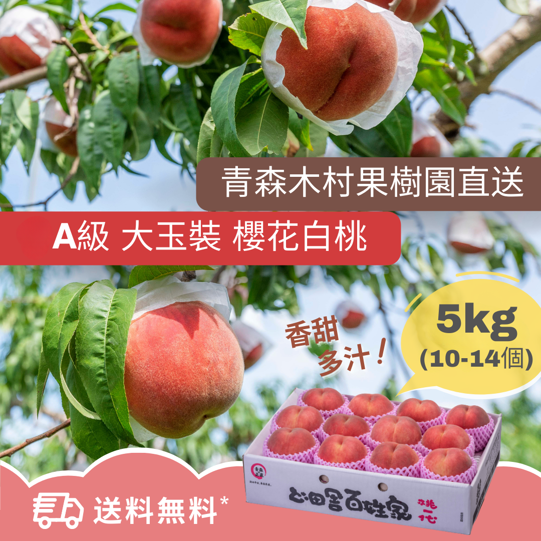 JAL Shop Hong Kong – JAL SHOP Hong Kong